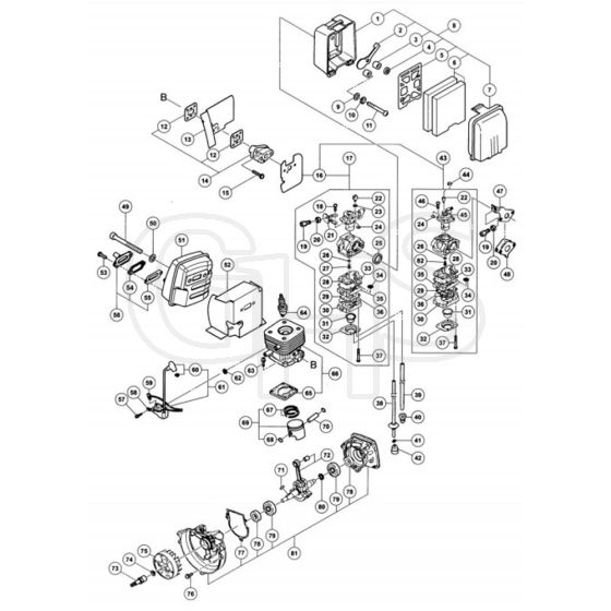 Tanaka THB-260PF - Engine | GHS
