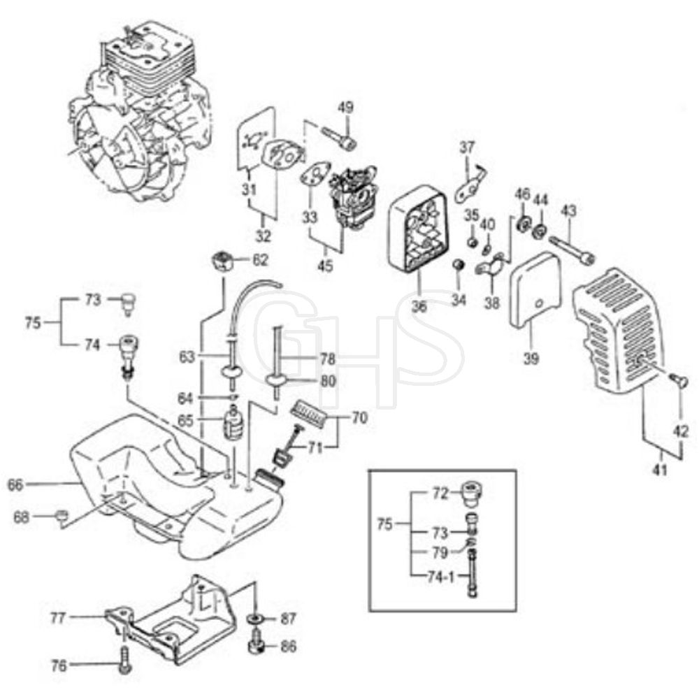 Tanaka TBC-430PF - Engine 1 | GHS
